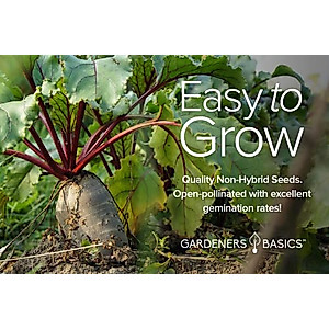 Beet Seeds for Planting Home Garden - 5 Variety Pack Detroit Dark Red, Golden Detroit, Early Wonder, Cylindria and Chioggia Great for Spring, Summer, Fall, Heirloom Veggie Seeds by Gardeners Basics