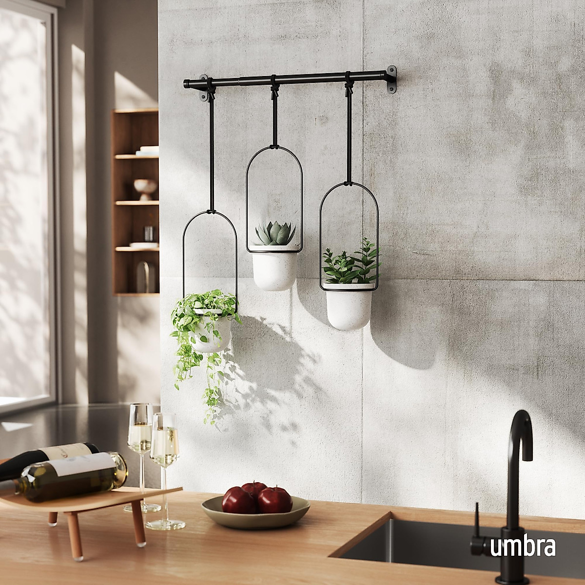 Umbra Triflora Hanging Planter for Window, Indoor Herb Garden, White/Black, Triple