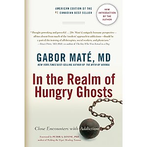In the Realm of Hungry Ghosts: Close Encounters with Addiction