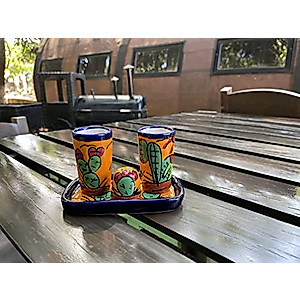 MEXTEQUIL - Authentic Mexican Talavera Tequila Shot Glasse with Tray and Salt Shaker - 2 Shots, 4pieces - Giffable - Artisanal colorful hand-painted (Cactus)