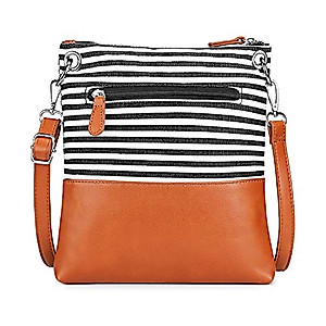 Newshows Women Lightweight Crossbody Bag Purse with Tassel Medium Canvas PU Leather, Zipper