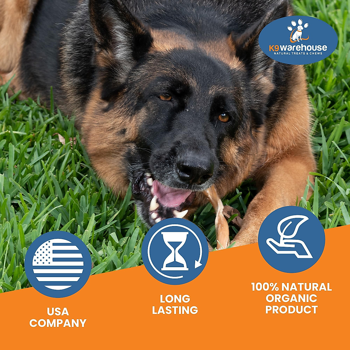 K9warehouse® - Curly Bully Sticks for Dogs - 5 to 8 inch, 6 Pack - High Protein, Odor Free Springs, Natural Pizzle Spiral Dog Chews - Perfect Treats for Small, Medium, Large Dogs - Rawhide Alternative