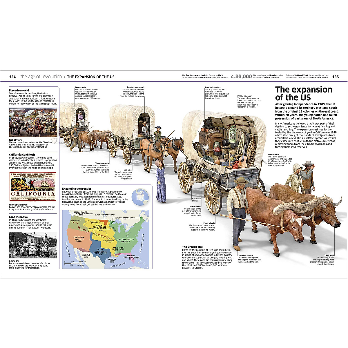 History!: The Past as You've Never Seen it Before (DK Knowledge Encyclopedias)