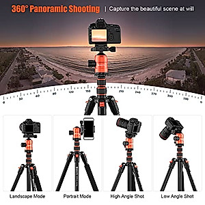 [Upgrade Version] GEEKOTO 77'' Tripod, Aluminum Camera Tripod Monopod, Foldable DSLR Tripod for Travel, Compact Tripod with 360 Panorama Ball Head Quick Release Plate for Travel and Work
