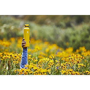 Hydro Flask Silicone Flex Boot - Small, Sunflower