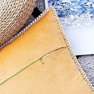 GAWAMAY Set of 2 Fall Decorative Soft Velvet Gold Throw Pillow Covers with Chenille Edge Boho Accent Taupe Grey Square Cushion Case for Couch Sofa Living Room Beding Outdoor 16 x 16 Inch (40x40cm)