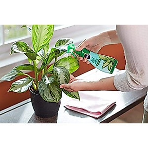 Scotts Leaf Shine, 8-Ounce (6 Pack)