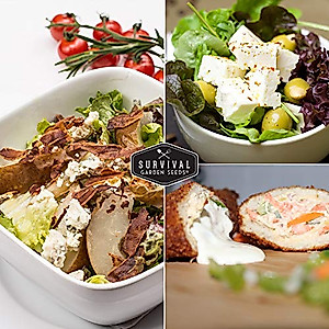 Survival Garden Seeds - Parris Island Cos Lettuce Seed for Planting - Packet with Instructions to Plant and Grow Romaine Style Head Lettuce in Your Home Vegetable Garden - Non-GMO Heirloom Variety