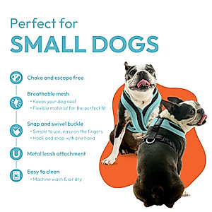 Gooby Comfort X One Dog Harness - Step-in Dog Harness for Small & Medium Sized Dogs - Escape-Free & Choke Free - Breathable Mesh, Shock Absorbing, Easy Snap & Swivel Buckles - Flamingo Pink, Small