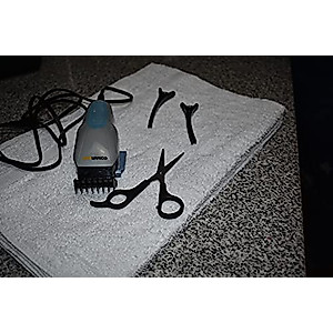 24 Pcs (2 Dozen) White 16x27 Inch Cotton Blend Economy Hand Towels Salon/ Gym/ Hotel Super use Absorbent Best for Kitchen,Janitorial,Home use Towels