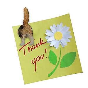 6 Pack - Evelots Refrigerator Magnets-Cat Butts-Photo/Key Holder-6 Popular Breeds