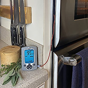 Taylor Instant Read Wired Probe Digital Meat Food Grill BBQ Cooking Kitchen Thermometer White