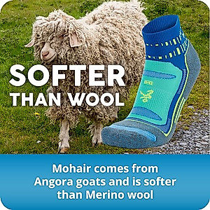 Balega Blister Resist Performance Crew Athletic Running Socks for Men and Women (1 Pair), Black, Large