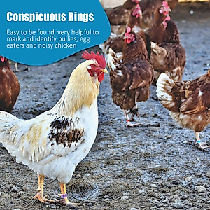 48 Pieces 16 mm Medium Chicken Leg Rings Multiple Colour Chicken Identification Leg Bands Numbered Clip on Leg Rings for Gamefowl Turkey Duck Goose Guinea Fit 1/2 to 5/8 Inch Legs