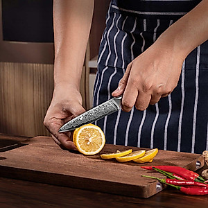 KINGOD Premium VG10 Kitchen Knife Set of 2pcs - 7" Meat Cleaver and 5" Paring Knife, Handcrafted Damascus Steel, Rosewood and Stabilizing Wood Handles