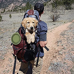 SLSON 2Pack Collapsible Dog Bowl,Integrated Molding Travel Bowl No Plastic Rim Pet Feeding Bowls for Walking Traveling Outdoors,600ML (Navy Blue+Dark Green)