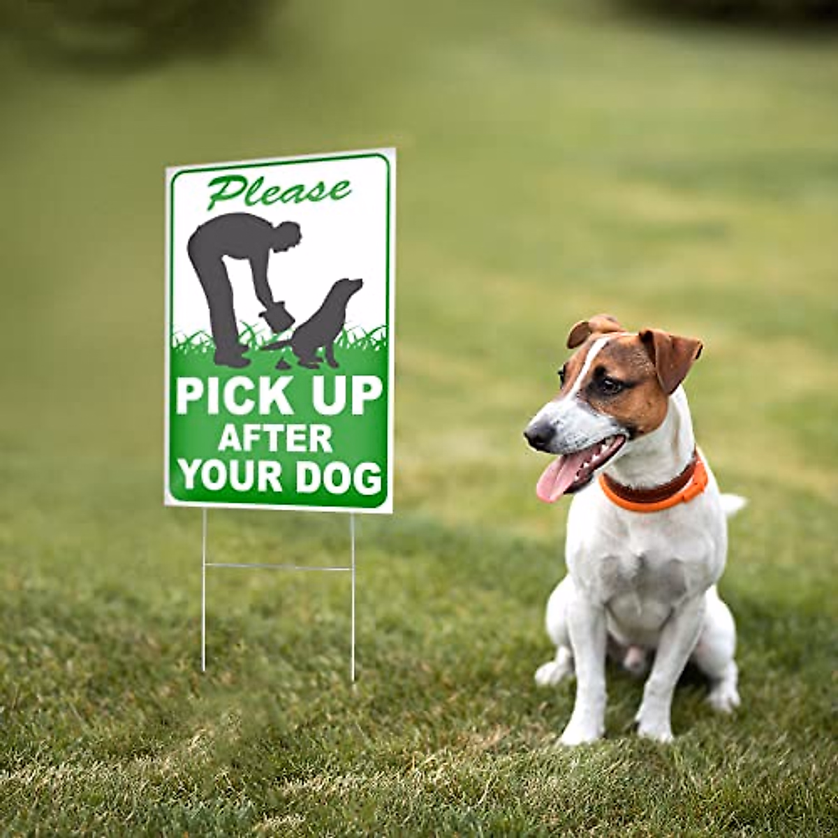 2 PC Pick Up After Your Dog Sign - 8x12 Double Sided Coroplast No Pooping Dog Signs for Yard - Dog Poop Signs for Yard - Curb Your Dog Sign