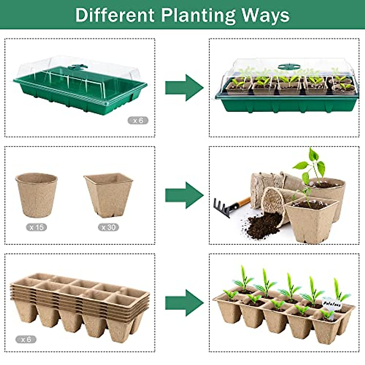 Hahood 6 Sets Cells Seed Starter Tray Kit with Humidity Dome and Base Seed Starter Peat Pots Germination Trays Including Plastic Plant Growing Trays for Indoor Outdoor Gardening, Green