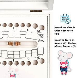 Dravira Baby Keepsake Tooth Box - Lost Teeth Holder Boy and Girl - Tooth Fairy Organizer - Gift for Parents and Kids - White Wood