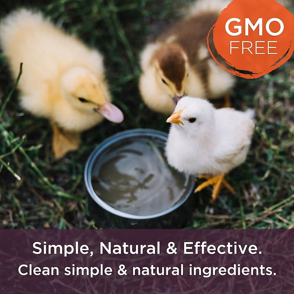 Dr. Connie's Probiotic + Electrolyte for Farm Animals | Supplement to Support A Healthy Gut | Veterinarian Formulated