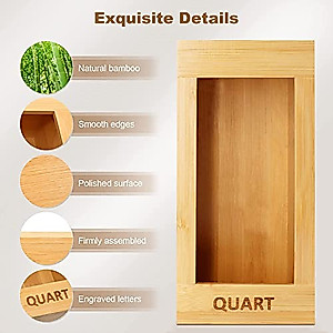 CHICHI BAZAAR Bag Storage Organizer, Ziplock Bag Storage Organizer for Kitchen Drawer, food bag storage organizer, ziplock bag holder, Compatible with Gallon, Quart, Sandwich & Snack