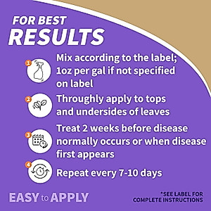 Bonide Captain Jack Copper Fungicide 16 oz Concentrated Plant Disease Control Solution for Organic Gardening (Pack of 2)