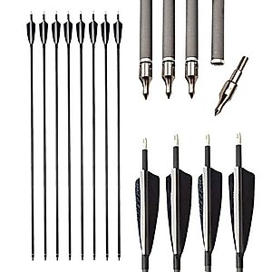 AMEYXGS 6/12pcs Carbon Arrows 34inch Practice Arrow with True Feathers and Detachable Arrow Tips 500 Spine Shooting Practice Arrows for Compound Bow Recurve Bow (12pcs)