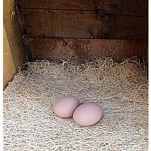 Ceramic Chicken Nesting Eggs (Brown) - Fake Training Eggs for Laying Chickens, Hen Nest Boxes & Home Decoration