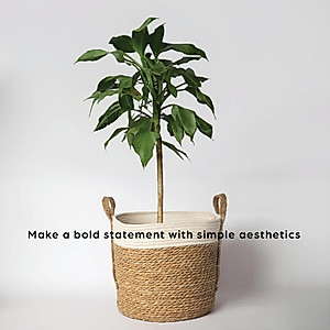 Porto Boutique Seagrass Basket w/Handles - Classic Coastal Charm, Exquisite Versatile & Stylish Natural Storage & Subtle Woven Décor Solution in Timeless Elegant Cream Hue - Home Essential (Large)