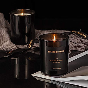 Fight Eagle Scented Candle Exquisite Black Glass Jars Long Lasting High 30 Hours Natural Soy Wax Scented Candles for Home Scented,Gifts,Office,Bathroom, Romantic Travel Goods. (Amber&Moss)