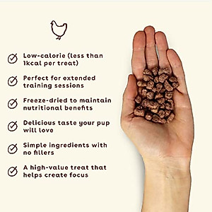 Pupford Freeze Dried Dog Training Treats, 475+ for Puppy , Low Calorie, Vet Approved, All Natural, Healthy for Small to Large Dogs (Chicken)