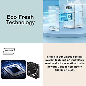 ZHENROAD Mini Fridge, 8L/8 Can Skincare Fridge, Portable 110V AC/ 12V DC Cooler and Warmer Refrigerators for Beverage, Cosmetics, Office Bedroom, Desk & College Dorm Room(White)