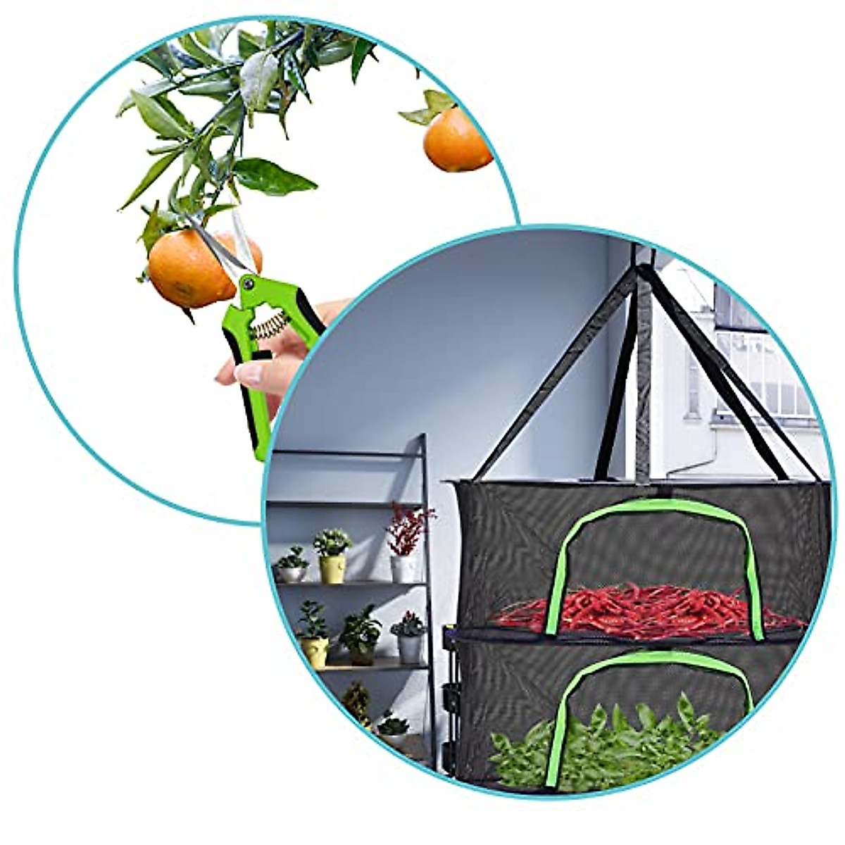 Herb Drying Rack Food Dehydrator Plant Hanging Mesh U Shape 2 Layers Collapsible Dry Net with Zipper, Pruning Scissors, Hook, Herb Rack for Drying Seeds, Herb, Vegs, Fruits, Bud, Plants(24"x15.6")
