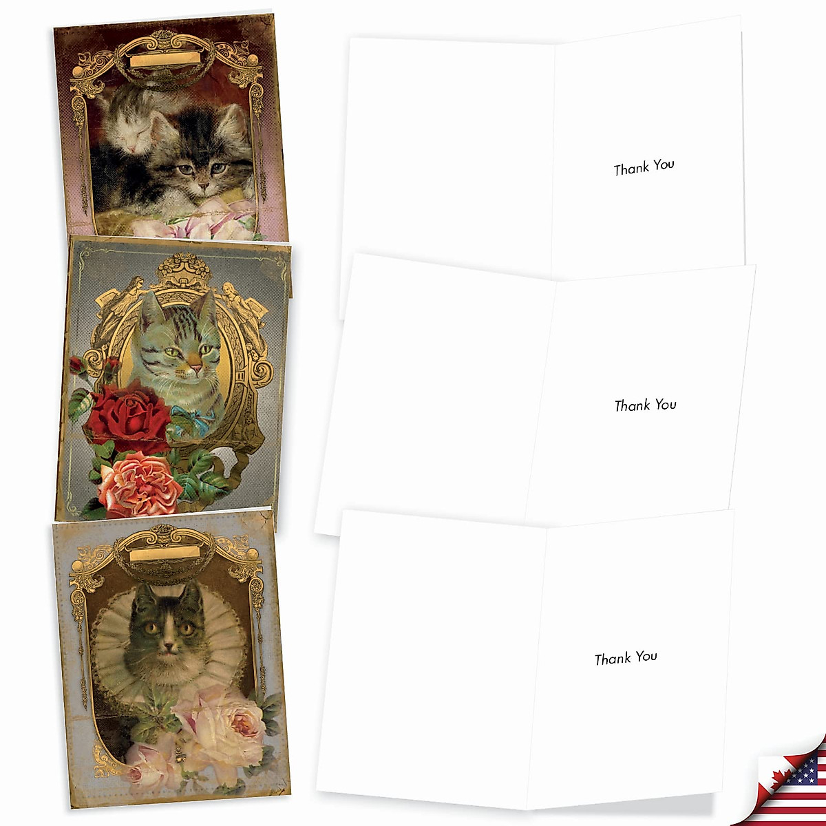 The Best Card Company 10 Assorted Thank You Notecards Box Set 4 x 5.12 Inch with Envelopes (10 Designs, 1 Each) Feline Frames M6638TYG