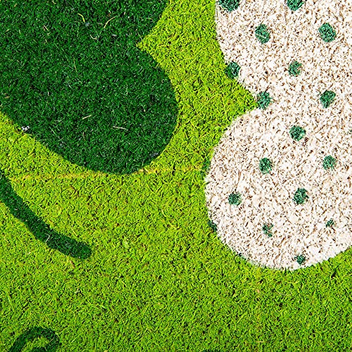 DII Indoor/Outdoor Natural Coir Fiber Spring/Summer Doormat, 17x29, Top of The Mornin' to Yah!