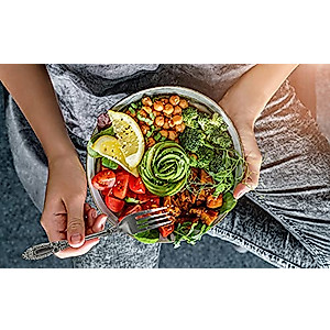 DecorRack Dinner Forks, Set of 12 Stainless Steel Table Forks, Flatware Everyday Silverware use for Home, or Restaurant