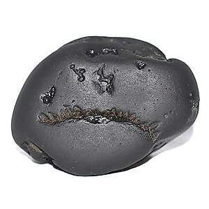 Rudrakshguru Laxmi Narasimha Shaligram - Gandaki River Nepal