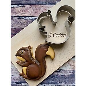 LILIAO Fall Thanksgiving Cookie Cutter Set, 7 Piece, Pumpkin, Turkey, Maple Leaf, Oak Leaf, Turkey Leg, Squirrel and Acorn Biscuit Cutters, Stainless Steel