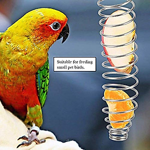 Stainless Steel Pet Bird Feeding Perch, Parrot Feeding Tools Vegetable Fruit Feeding Basket Holder Cage Accessory