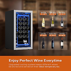 Ca'Lefort Wine Fridge, 27 Bottles Wine Cooler with Digital 38-65℉ Temper Control, Wine Cooler Refrigerator Freestanding and Under Counter with Anti-U V Glass Door for Home Office Dorm