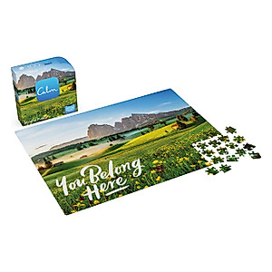 Spin Master 300-Piece Calm Jigsaw Puzzle for Relaxation, Stress Relief, and Mood Elevation, for Adults and Kids Ages 8 and up, You Belong Here