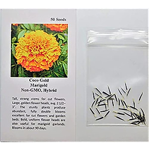 David's Garden Seeds Flower Marigold Coco Gold 7492 (Multi) 25 Non-GMO, Heirloom Seeds