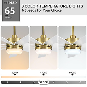 LEDLUX 65" DC Motor Ceiling Fan with Light, 6-Speed Remote Control, Reversible Motor, Modern 9 Blades Ceiling Fan with 4.5"/12" Downrods for Home or Commercial White/Gold