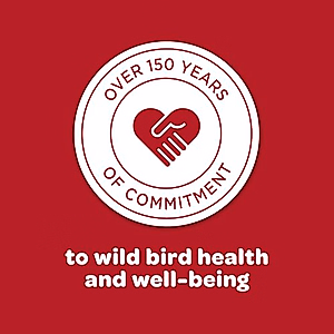 Kaytee Wild Bird Seed & Mealworm Seed Cake Food For Bluebirds, Chickadees, Woodpeckers and More, 1.4 Pound