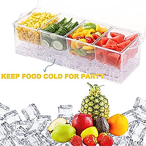 Yatmung Chilled Condiment Server with Lid, Serving Platter and Tray for Parties on Ice Party Tray for Serving Food Fruit Tray for Bar Condiment Tray with Lid