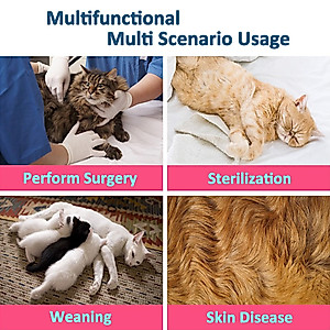 Cat Recovery Suit, Cat Surgery Recovery Suit for Surgical Abdominal Wounds, E-Collar Alternative for Cats and Dogs, After Surgery Wear, Cat Onesie for Cats After Surgery (Blue, Small)