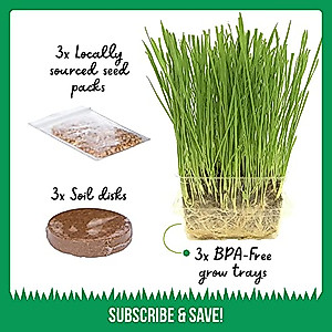 The Cat Ladies Cat Grass Growing Kit -Organic Seed, Soil and BPA Free containers (Non GMO).Locally sourced Seeds! (3 Pack)