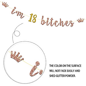 I'm 18 Bitches Banner, 18th Birthday Party Decor, Funny Eighteen Years Old Birthday Banner, Girl's 18th Birthday Party Decorations (Rose Gold)