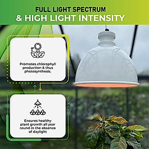 Bio Green 500-USW Florabooster LUM 500 Grow Indoor 60w Lightbulb Lamp with 3m Connection Cable – Energy Saving House Plants – High Light Intensity, White