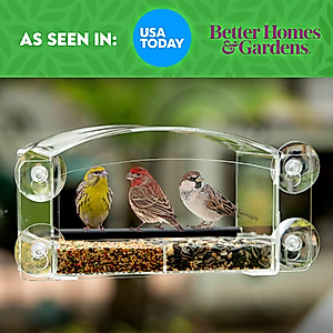 Gray Bunny Window Bird Feeder with Strong Suction Cups, Modern Window Bird Feeders for Outdoors Viewing, Clear Transparent Squirrel Proof Birdfeeder, Drain Holes, Removable Tray, Large Seed Capacity